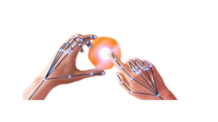 Anushree | Portfolio